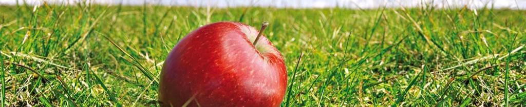 Downloads – natyra